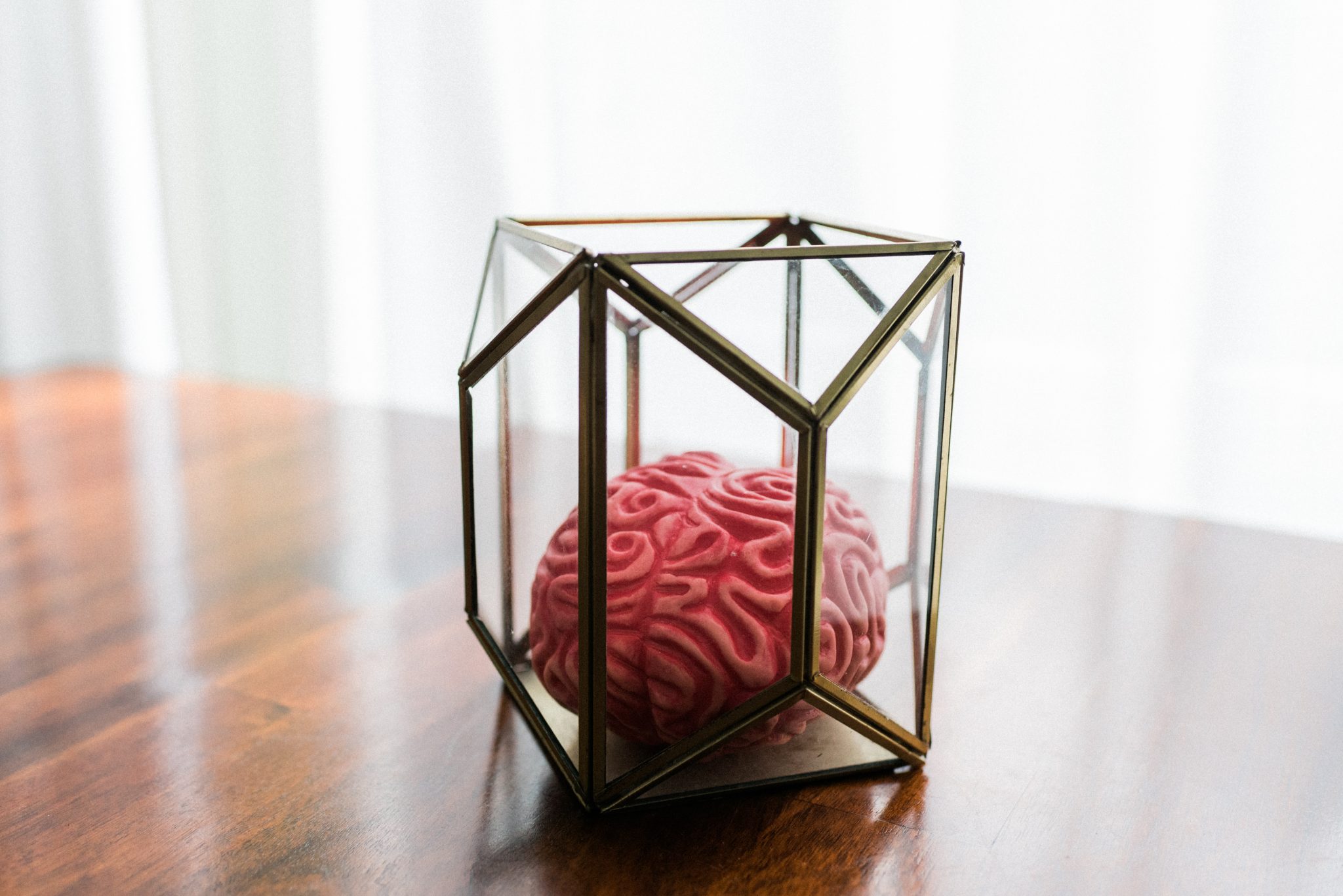 Wat zijn de effecten van langdurige stress in het brein?